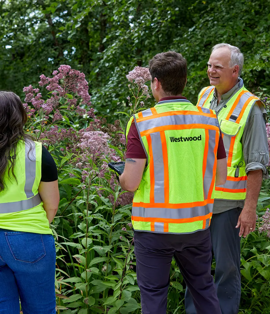 Environmental Services