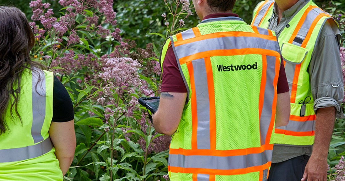 Environmental Services